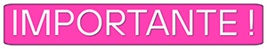 SAOTI